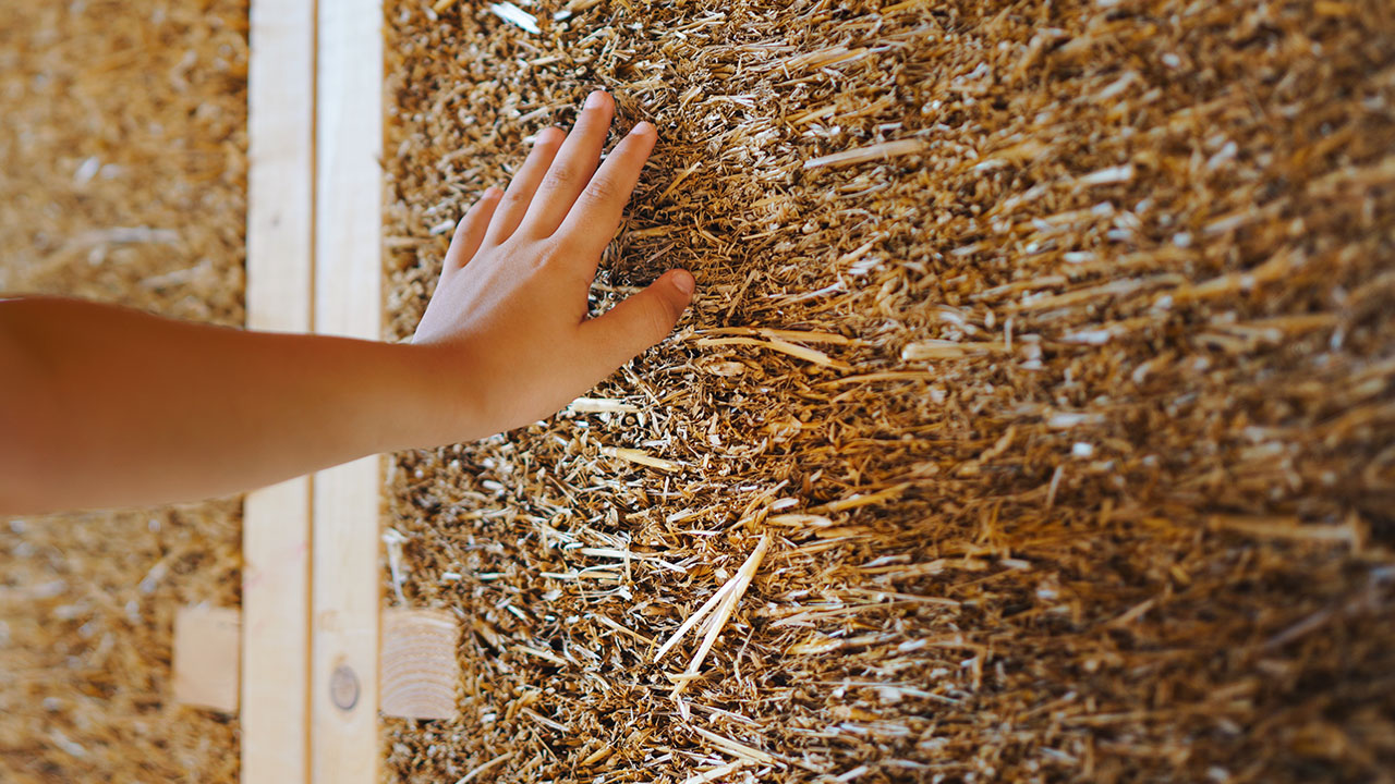 Biogene byggematerialer - sporer på lur - skimmel.dk